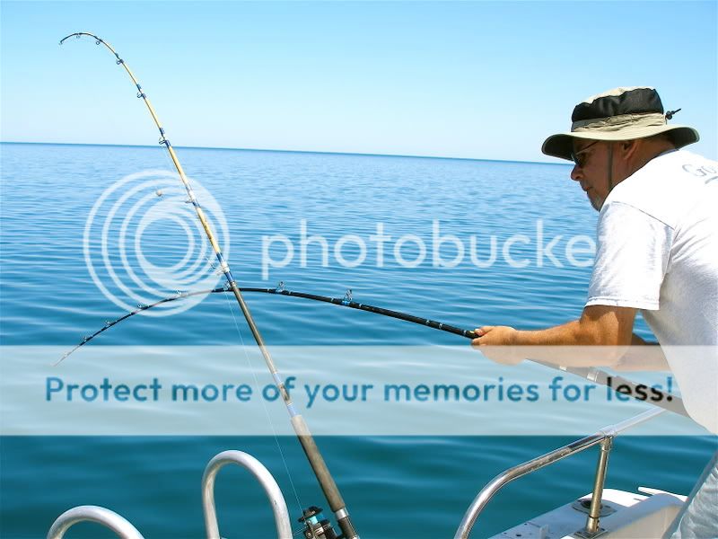 Totuava??? | Bloodydecks