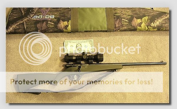 Savage Rascal Scope recommendation | Rimfire Central Firearm Forum