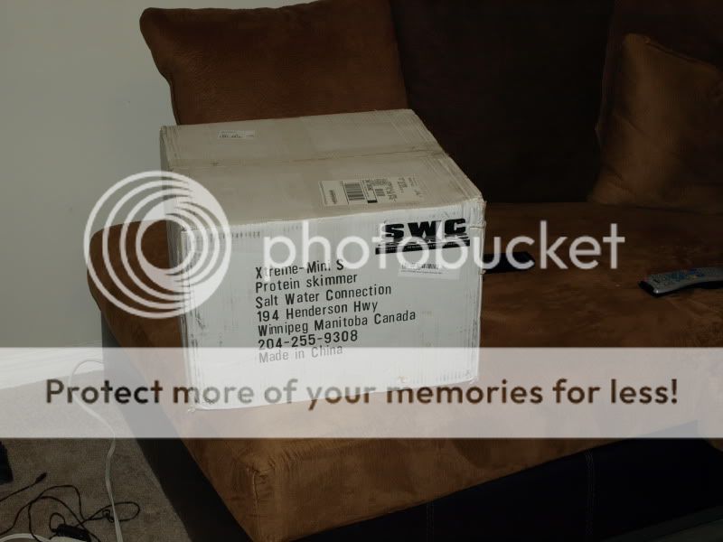 SWC Mini-S Cone Skimmer Review - Reef Central Online Community