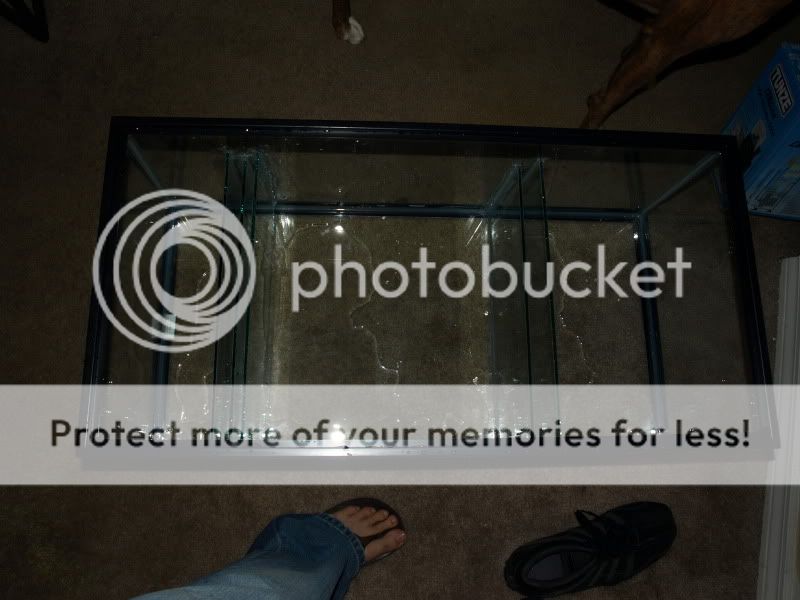 SWC Mini-S Cone Skimmer Review - Reef Central Online Community