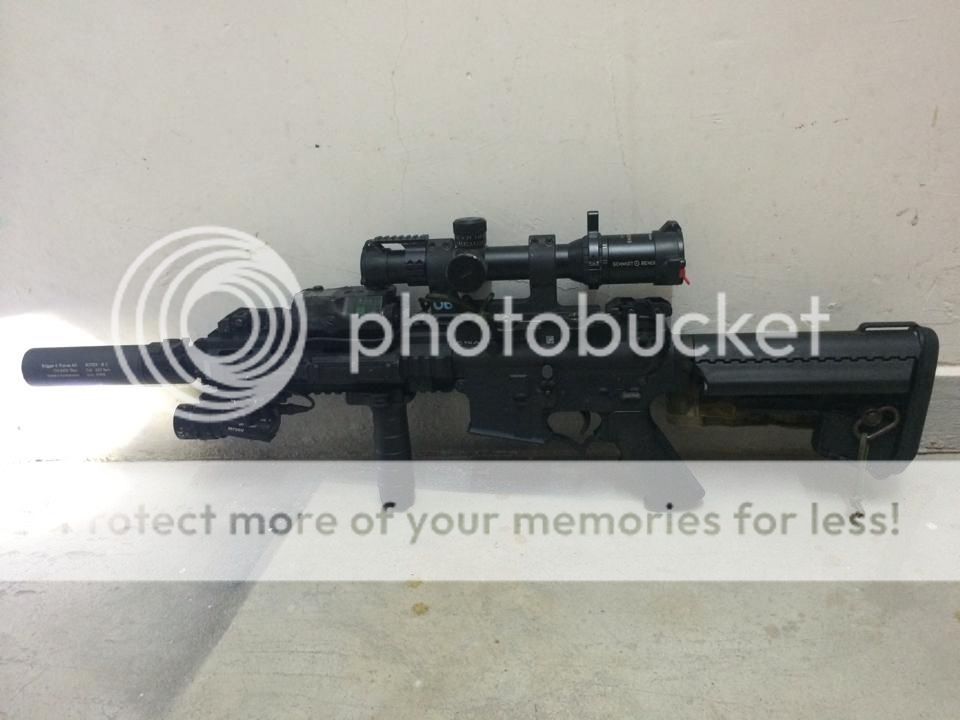 Kenvin’s SGT 416 DMR – The Reptile House