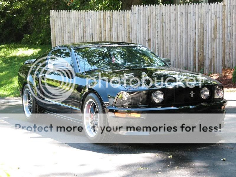 Lowered Mustangs | S197 Mustang Forum - S197Forum.com