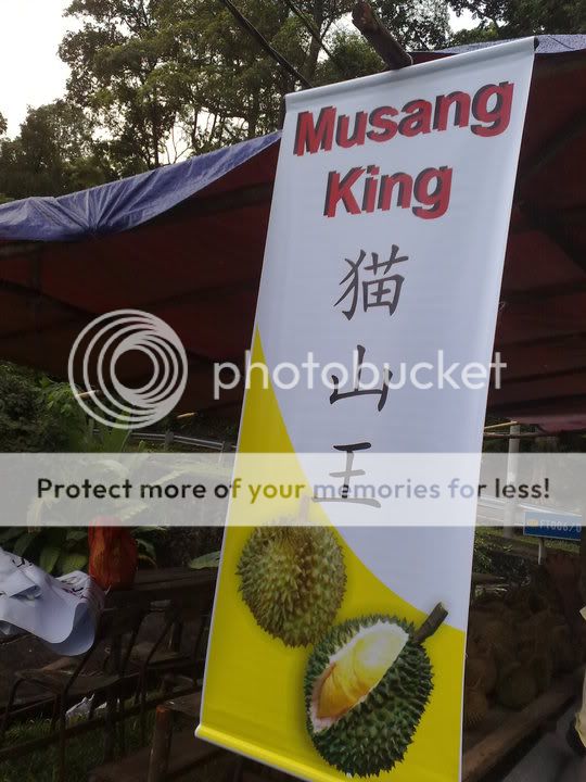 Durian
