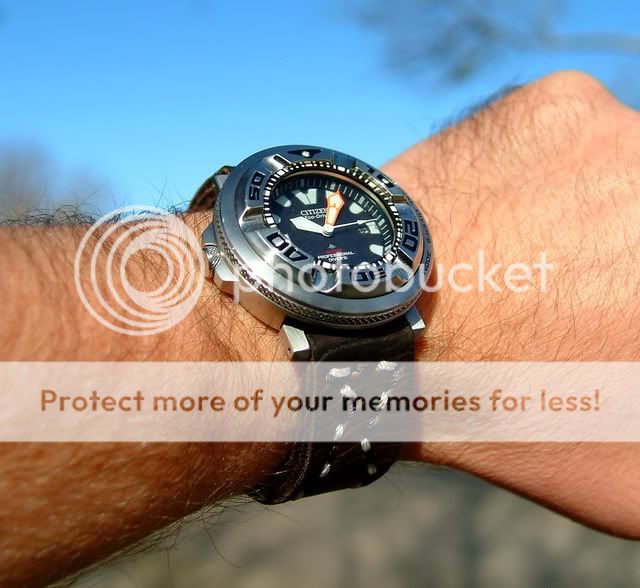 My Newsed Zilla on Leather: | WatchUSeek Watch Forums