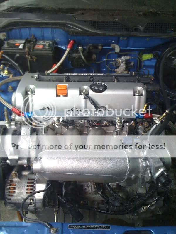 WTB Ported RBC MANIFOLD | Honda / Acura K20a K24a Engine Forum
