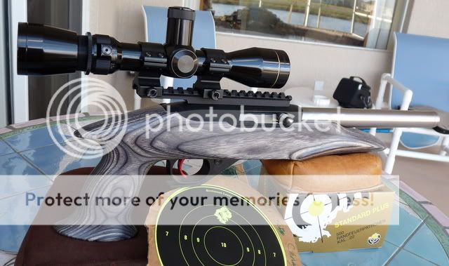 Custom Charger for IHMSA (silhouettes) with Pics | Rimfire Central ...