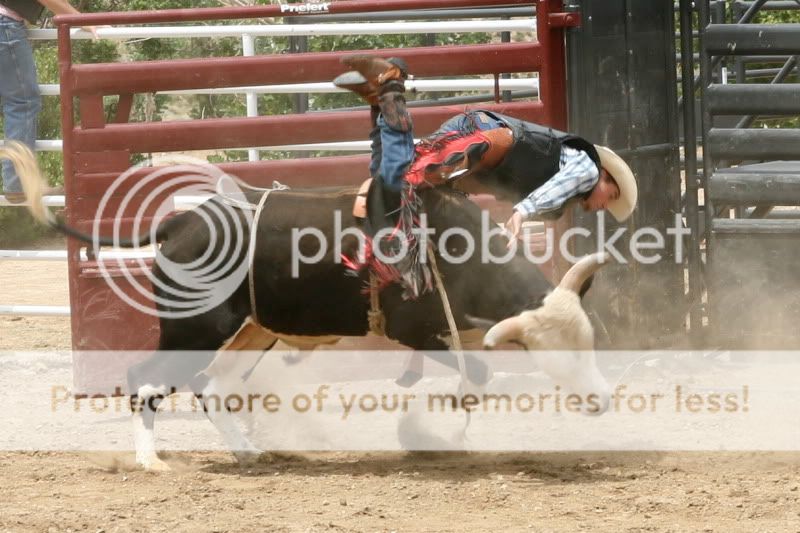 Bull riding class? - Calguns.net