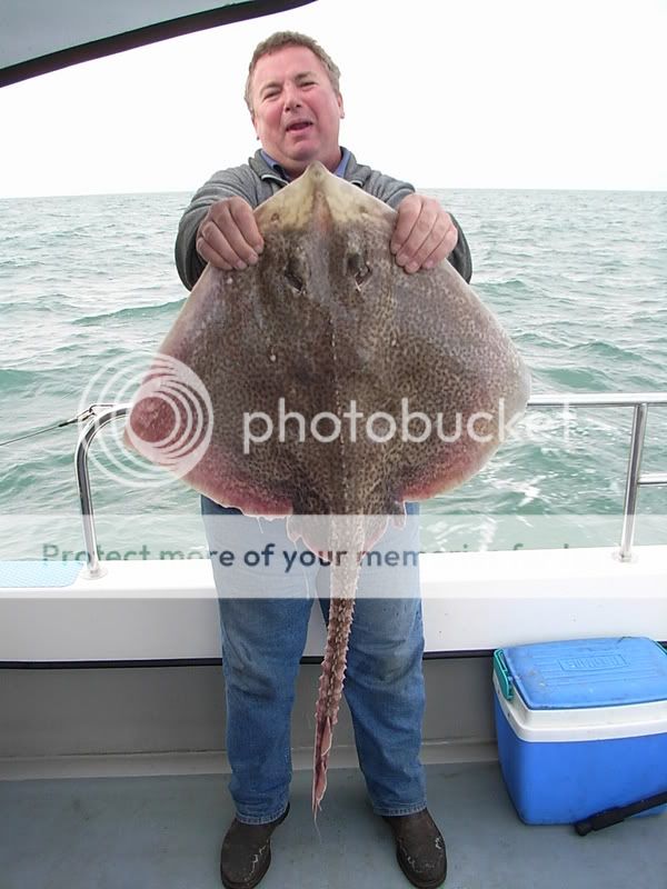 Roker Ron & 'The Hybrids' Crouch Report 2/9/07 | World Sea Fishing Forums