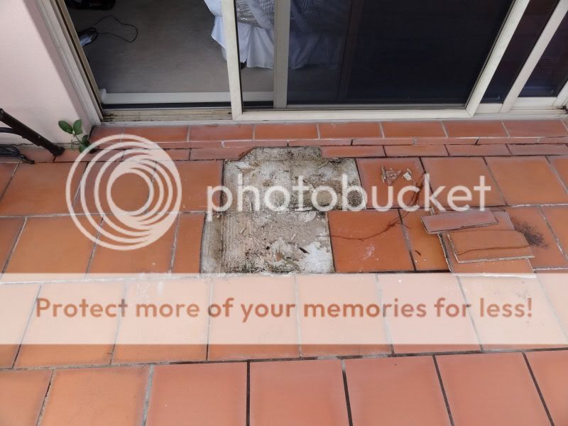 Tile Floor Sounds Hollow – Flooring Tips