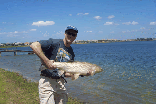 Florida Grass Carp | Tidal Fish Forum