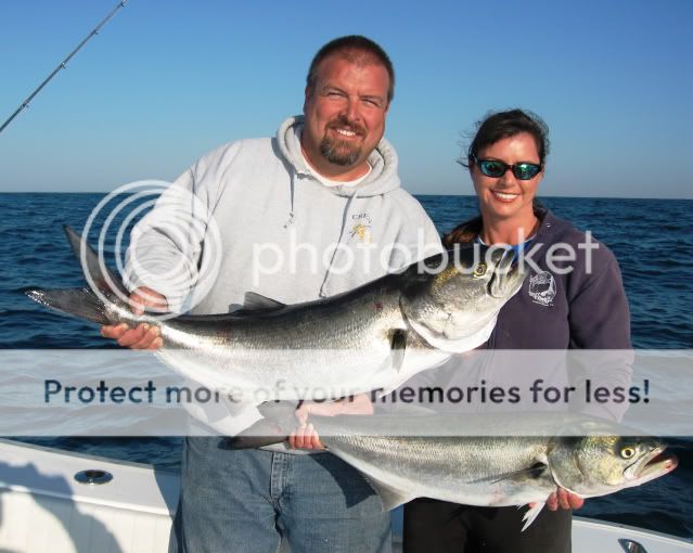 Virginia Bluefish – The Virginian-Pilot