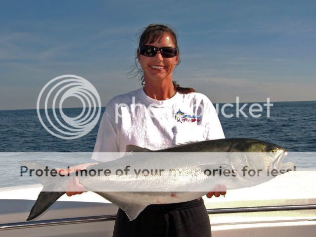 November means Wreck Flounder and Big Bluefish – The Virginian-Pilot