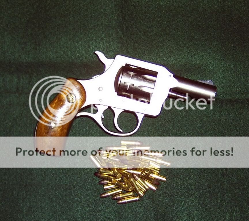 What's a good, cheap .22 revolver? | Page 2 | Rimfire Central Firearm Forum