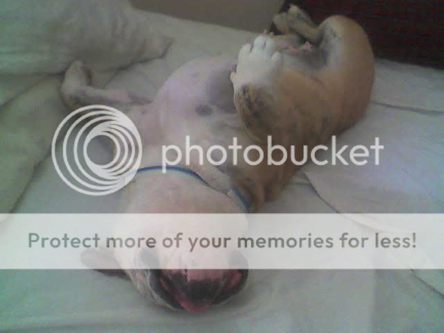 Fatima - THEN AND NOW