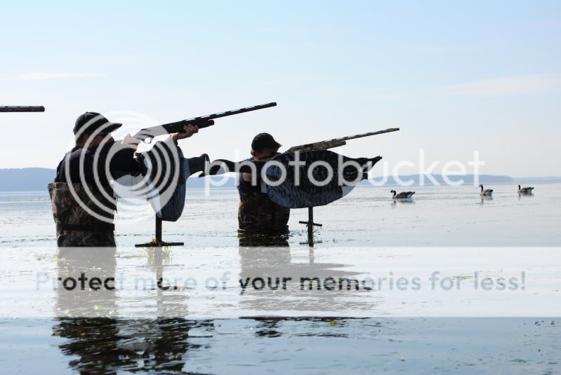 Eastern Shore Goose and Duck Hunts | Maryland Shooters Forum - Weapon ...